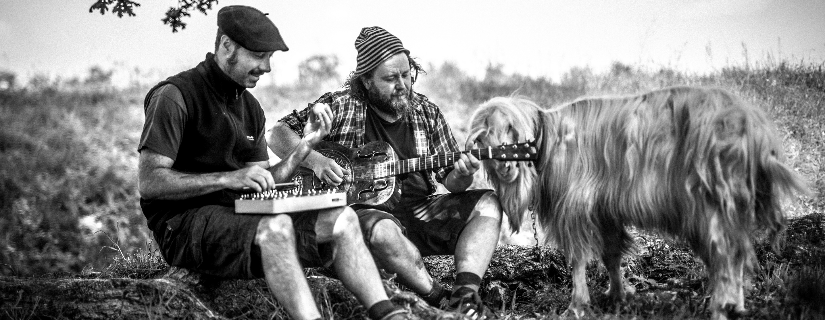 Des rillettes et du rock – La Cabane Anti-gaspi